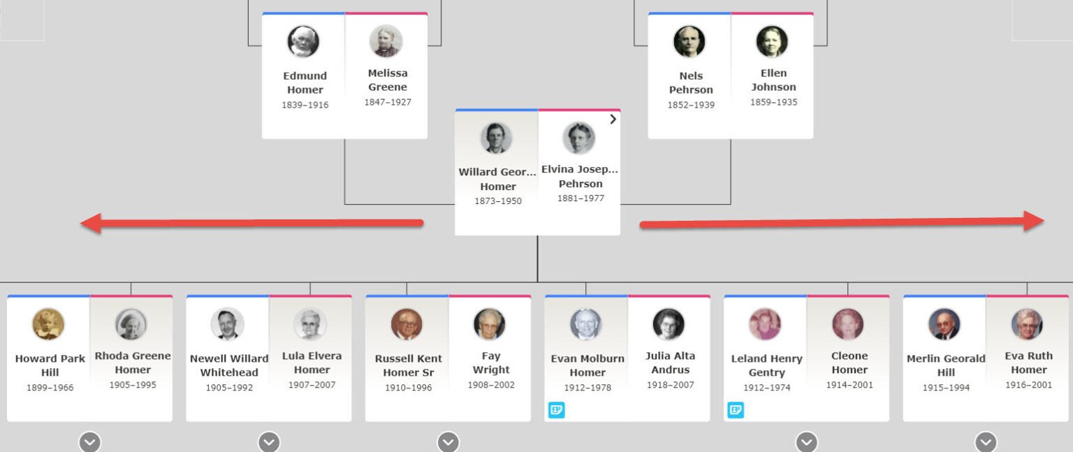 How to Use DNA Tests to Trace Family Names