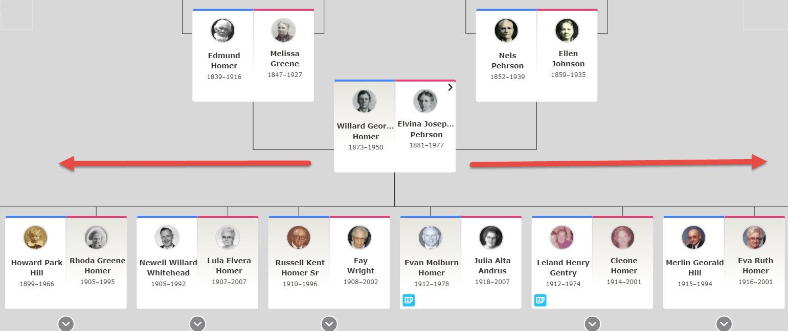 How to Use DNA Tests to Trace Family Names